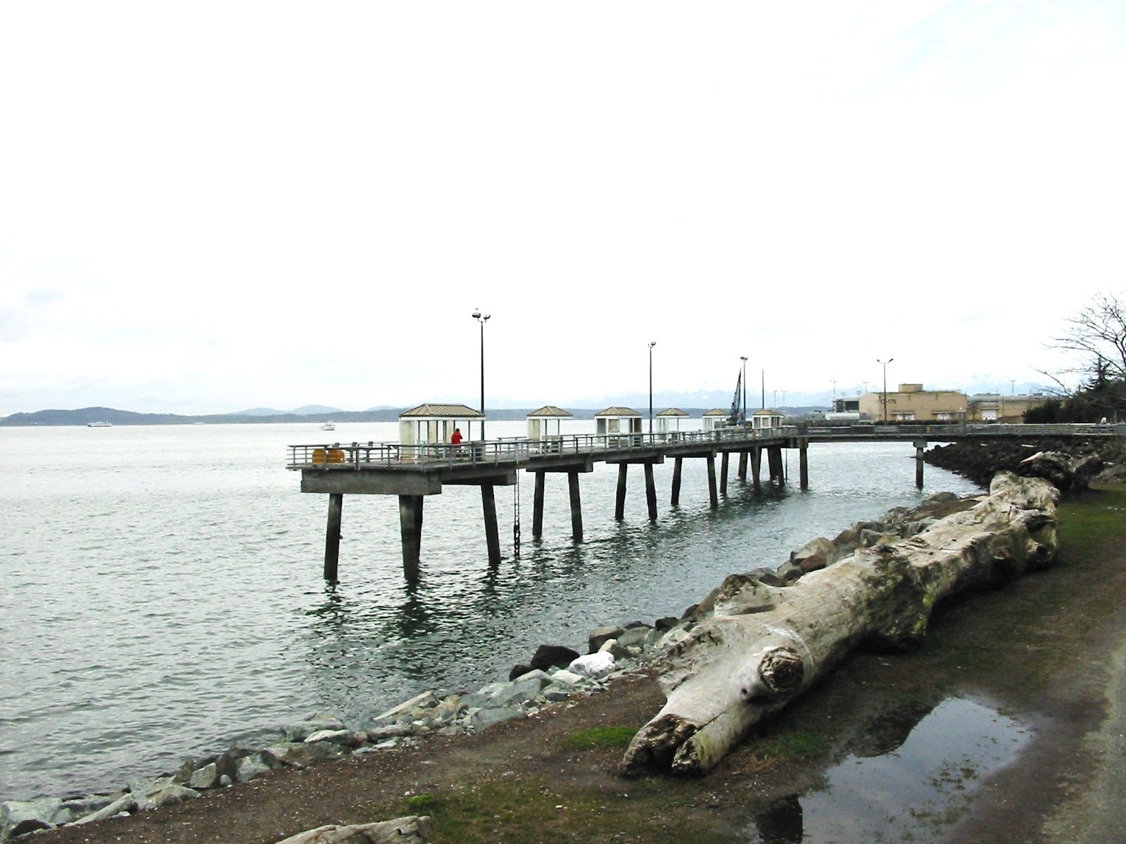 Elliot Bay Fishing Pier | Elliot Bay Fishing Reports | Map