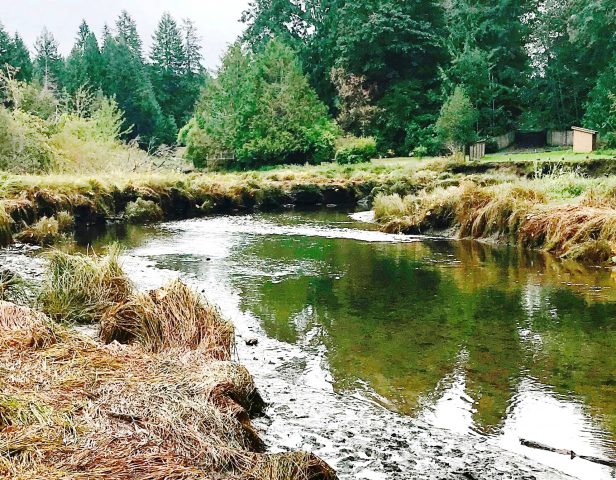 Minter Creek - The Lunkers Guide